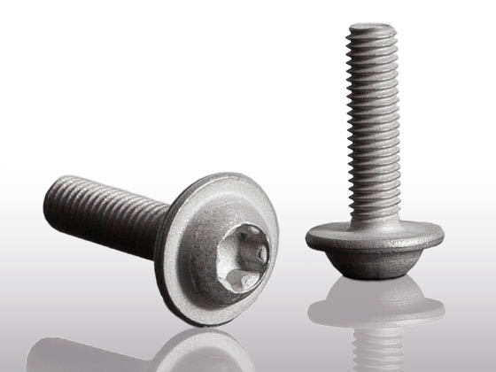 Direct Screwing for CFRP - b&m Homepage